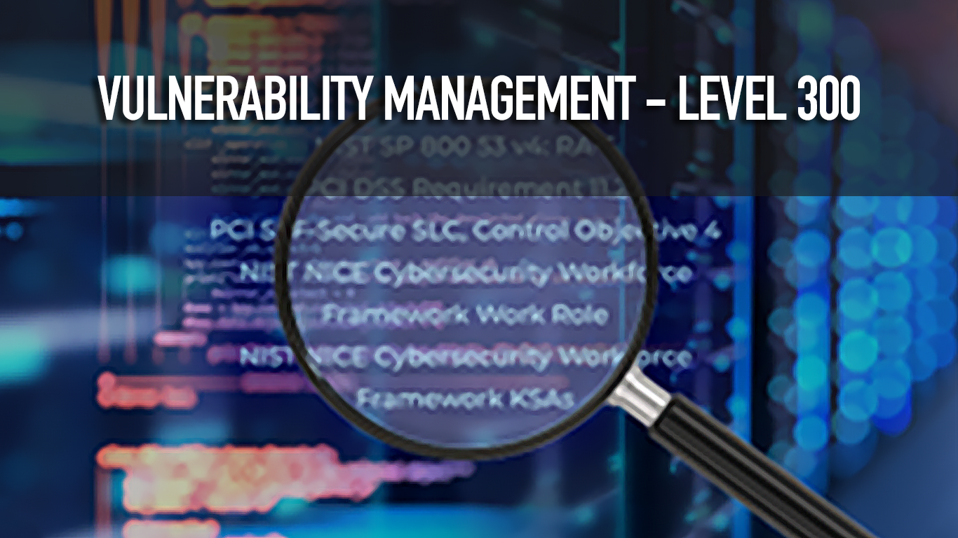 VULNERABILITY MANAGEMENT - LEVEL 300